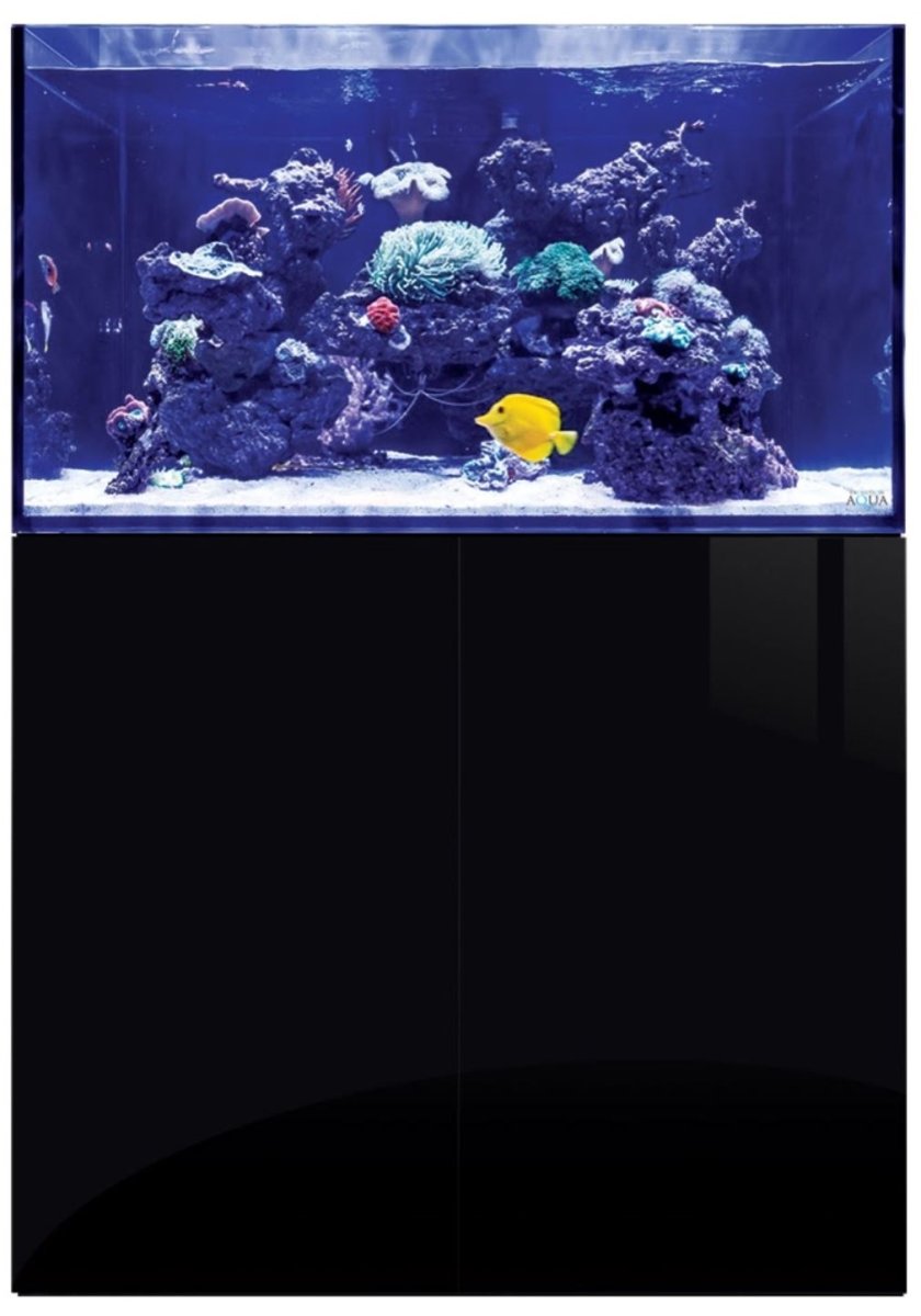 Marine Aquariums - All Things Aquatic – Tagged "Nano Aquarium"